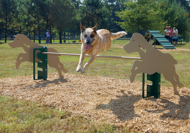 Rover Jump Over | Dog Jumps | Dog Agility Obstacles