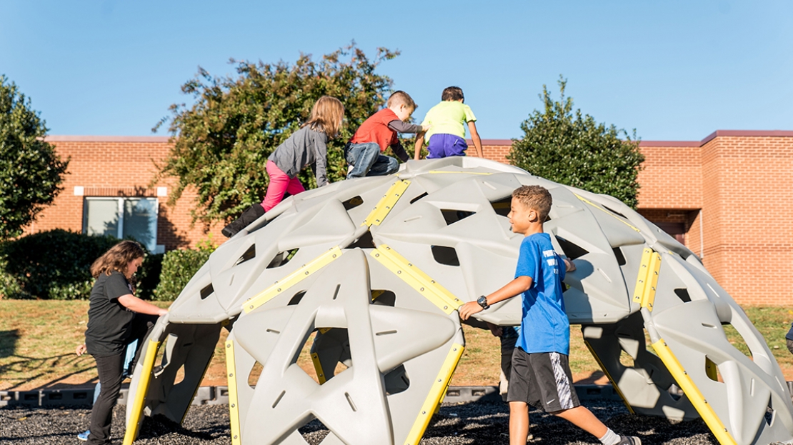 Mole Hill Matrix Climber