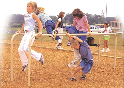 Parallel Bar Station | Outdoor Fitness Equipment